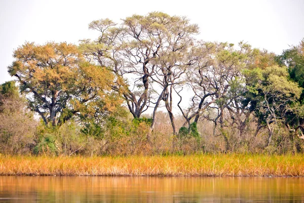 Humedales de Okavango, Delta del Okavango, Patrimonio de la Humanidad ...