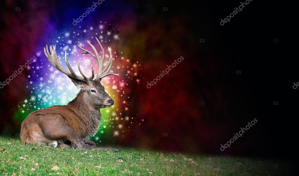 Stag Party Background Stock Photo by ©Healing63 90354602
