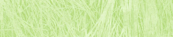 Model green background Stock Photos, Royalty Free Model green ...