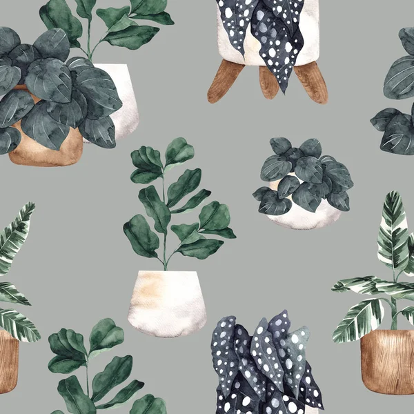 Watercolor Illustration Potted Plant Isolated White Background Stock ...