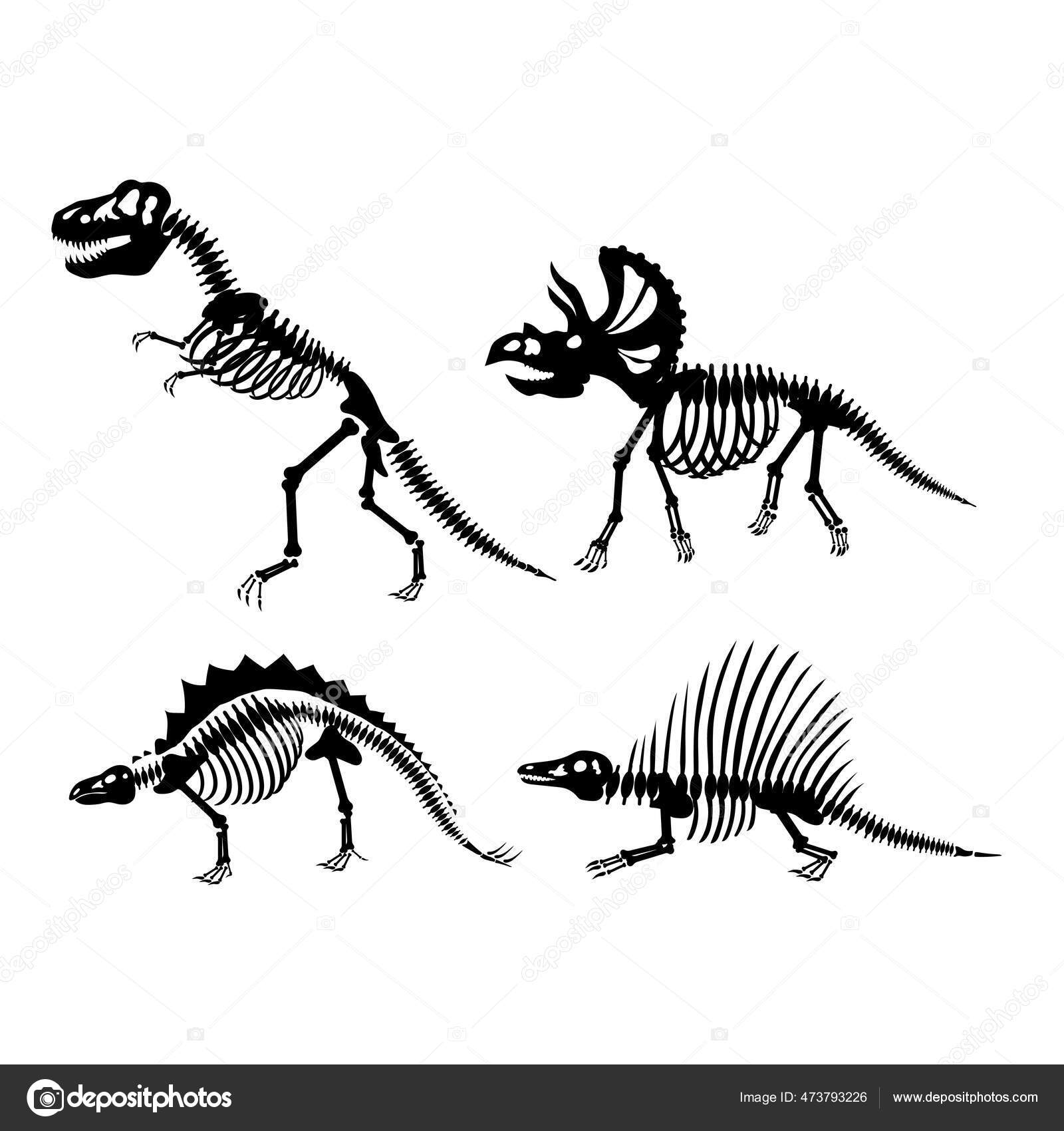 Dinosaur Skeleton Clip Art Black And White