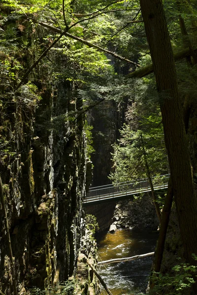 Bridge across chasm Pictures, Bridge across chasm Stock Photos & Images ...