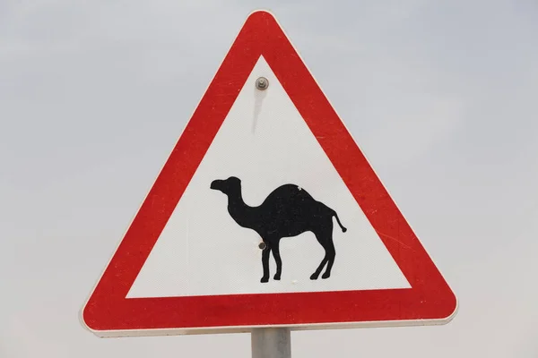 Camel crossing sign Stock Photos, Royalty Free Camel crossing sign ...