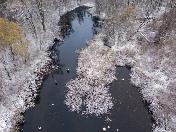 Snow-covered lake shore in the park. A thin layer of the first snow on ...