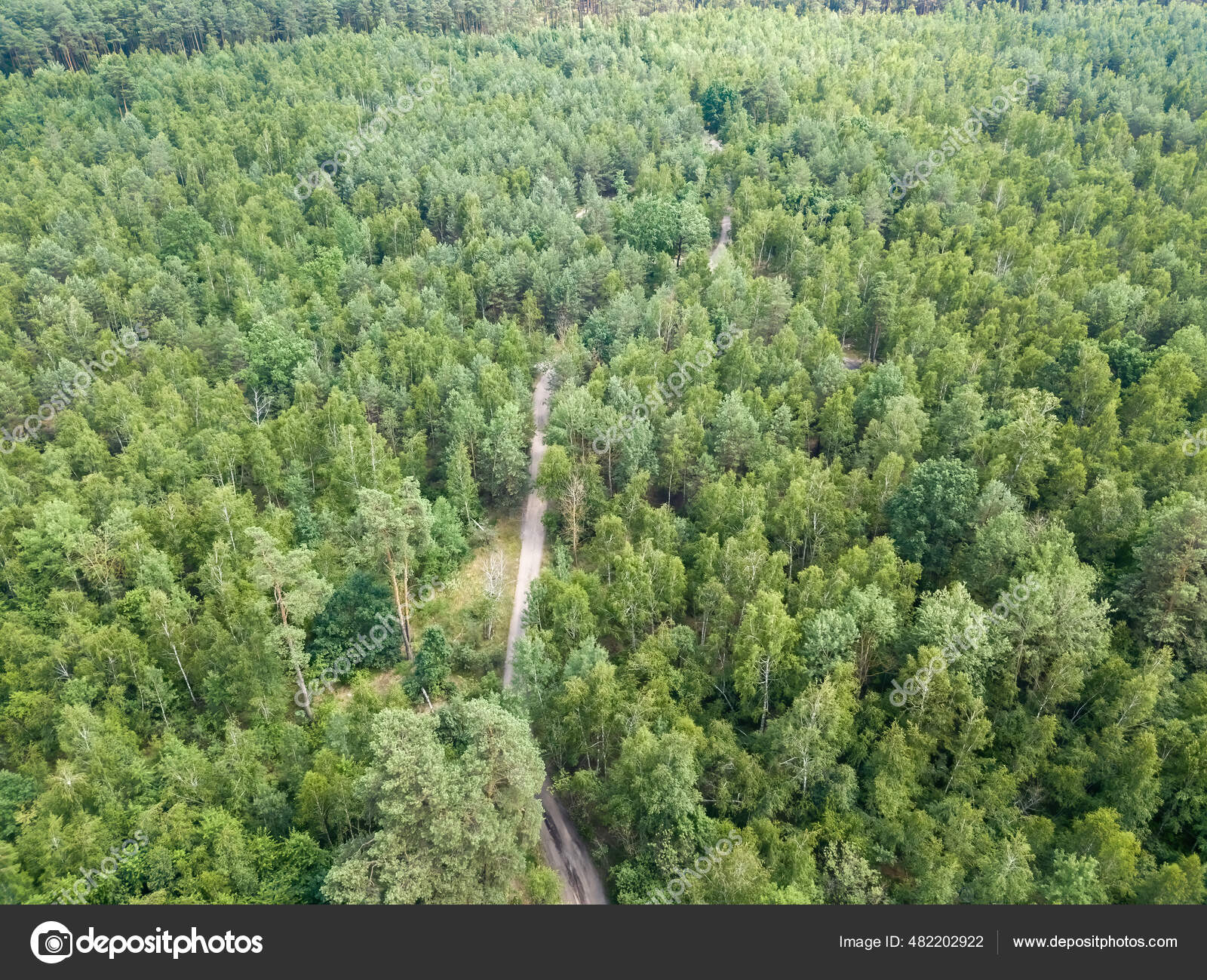 Dirt Path Summer Green Forest Aerial Drone View — Stock Photo © sergey.muhlynin #482202922