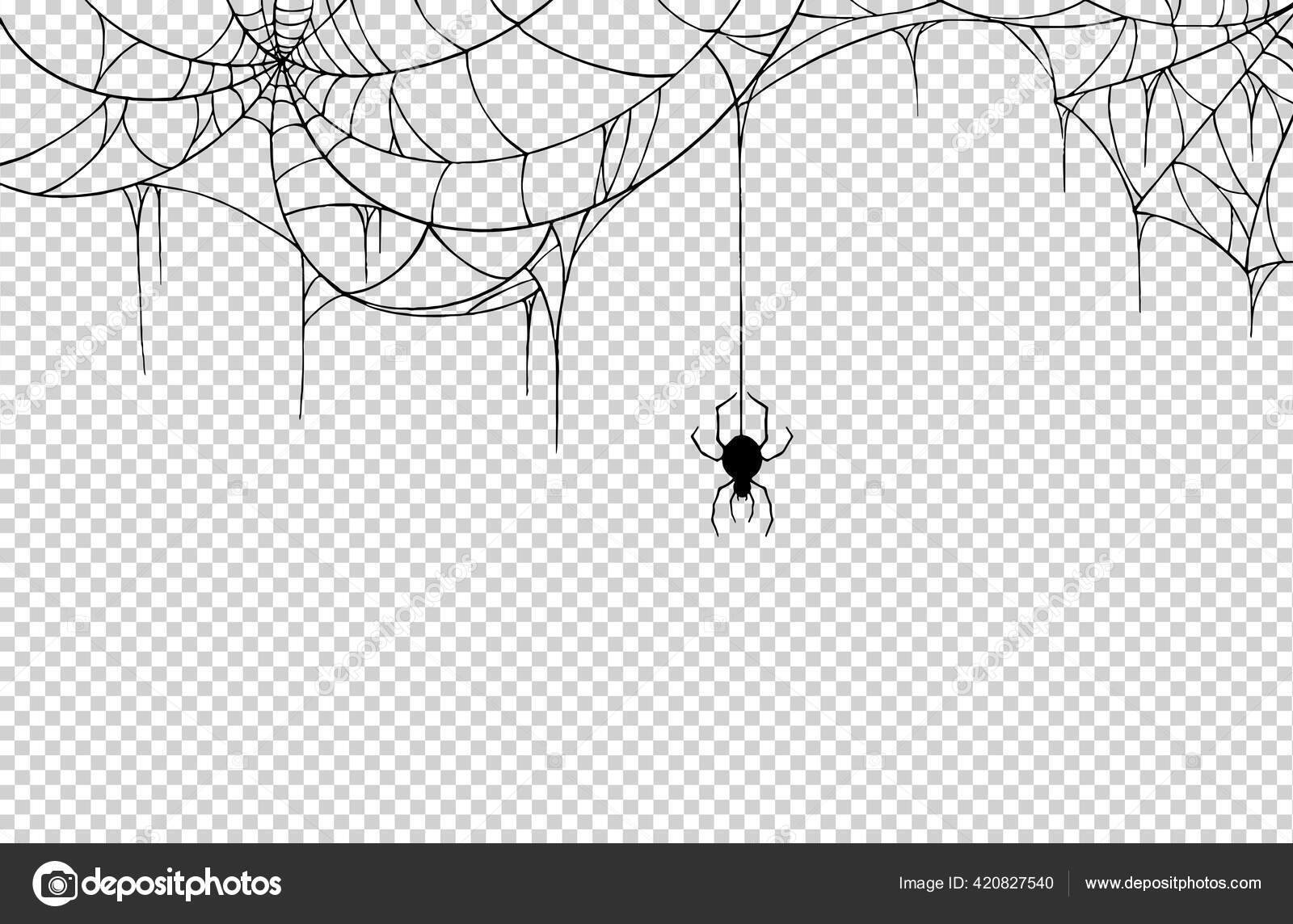 Spider Hanging Spiderwebs Isolate Png Transparent Background Graphic ...