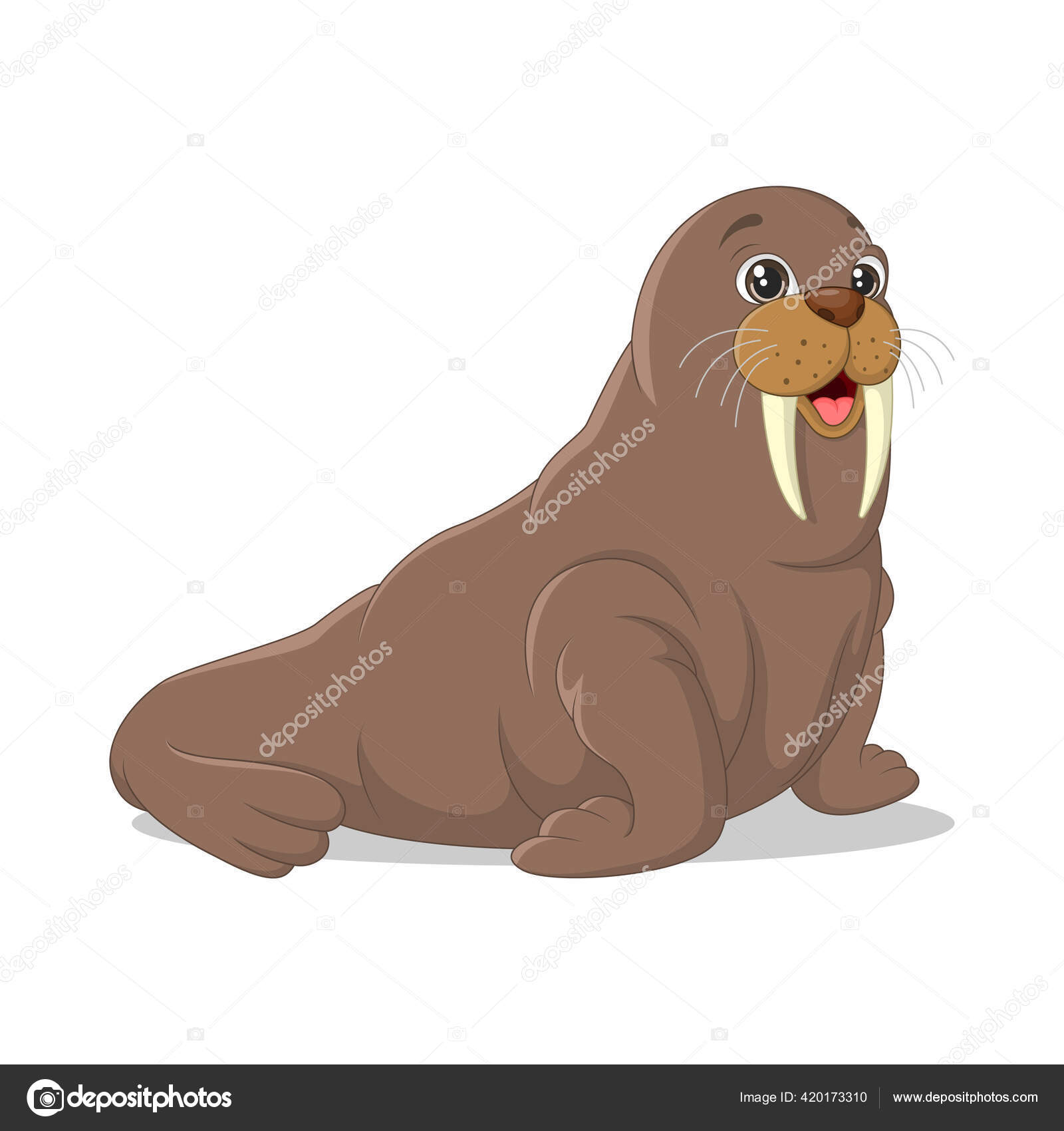 Vector Illustration Cartoon Funny Walrus White Background Stock Vector ...