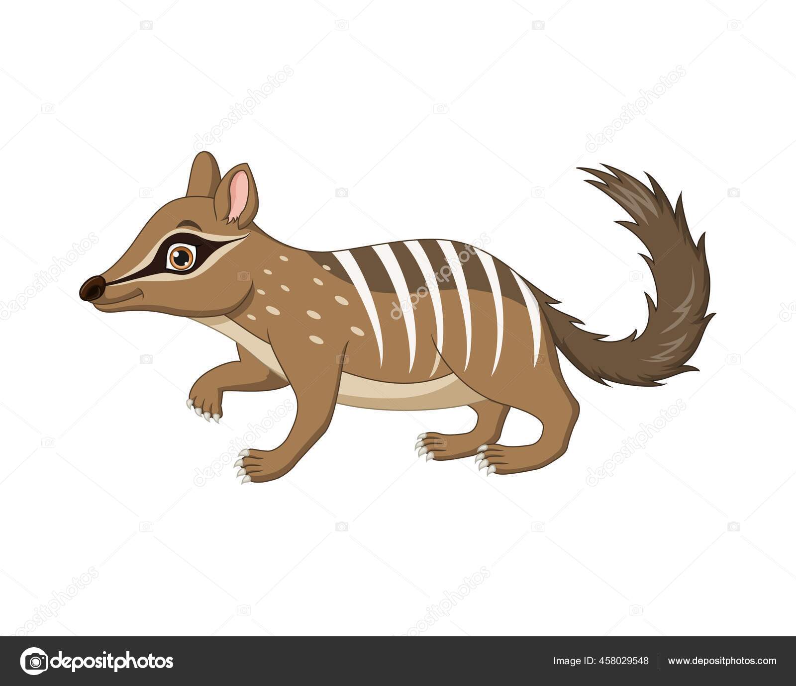Vector Illustration Cartoon Funny Numbat White Background Stock ...