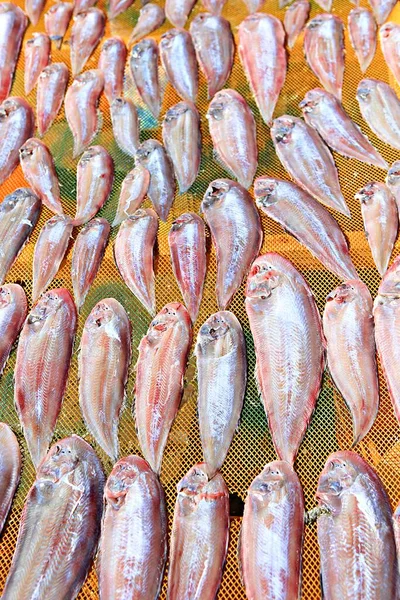 Fish distribution Stock Photos, Royalty Free Fish distribution Images ...