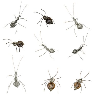 Collection of the insects Stock Photo by ©vladvitek 66001905