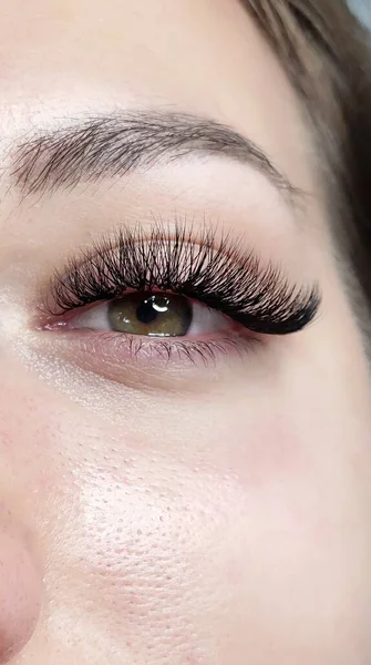 Lash extensions in beauty salon macro eye - Stock Image - Everypixel