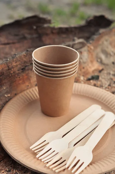 Biodegradable tableware Stock Photos, Royalty Free Biodegradable ...