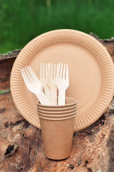 Biodegradable tableware Stock Photos, Royalty Free Biodegradable ...