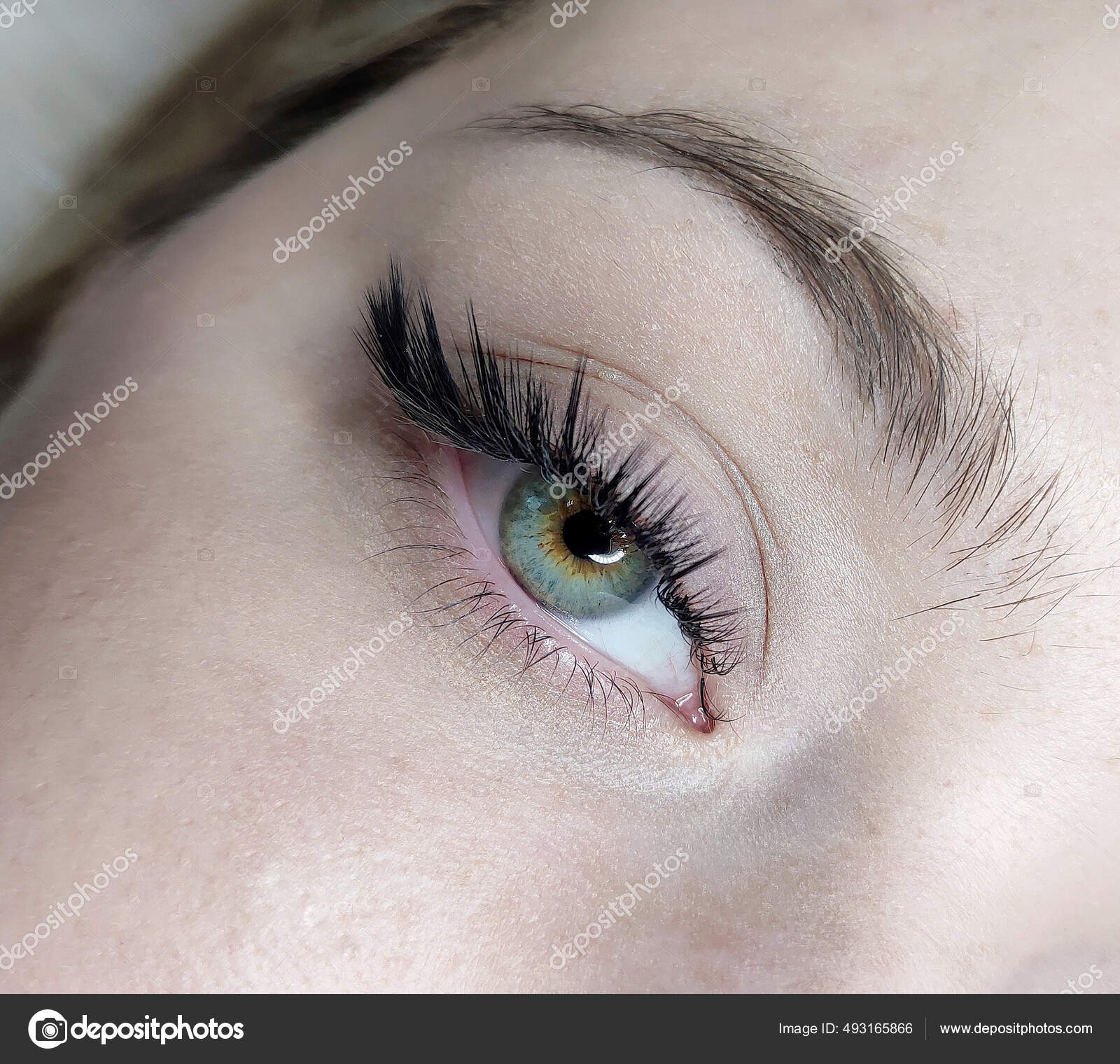 Lash Extensions Beauty Salon Macro Eye Top View — Stock Photo ...