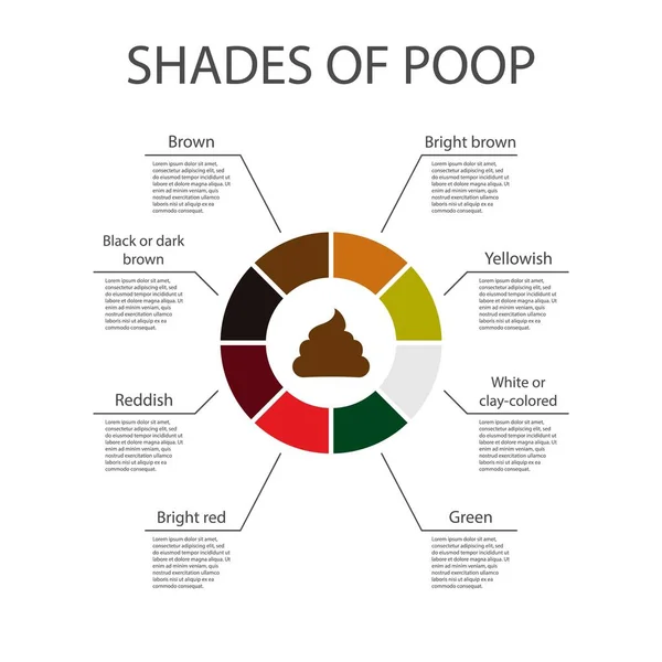 Poo chart Vector Art Stock Images | Depositphotos
