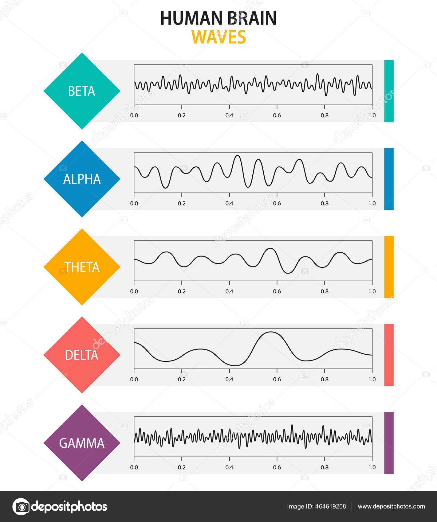 Set of brain waves oscillation. Beta, alpha, theta, delta, gamma brain ...