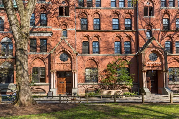 Yale university Stock Photos, Royalty Free Yale university Images ...