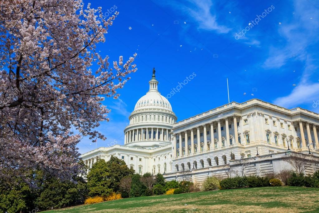 US Capitol Building - Washington DC United States Stock Photo by ...