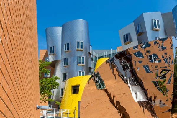 Ray and Maria Stata Center on the campus of MIT — Stock Photo ...