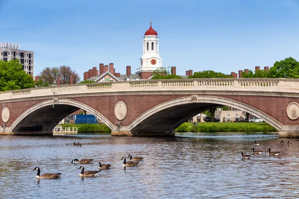 Harvard bridge Stock Photos, Royalty Free Harvard bridge Images ...