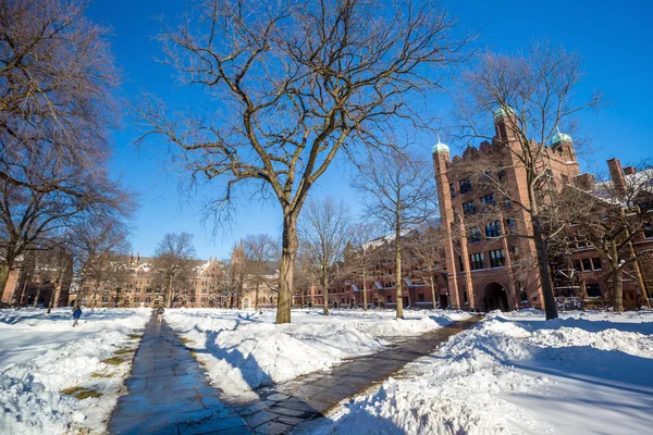 ᐈ Yale university stock pictures, Royalty Free yale campus images ...