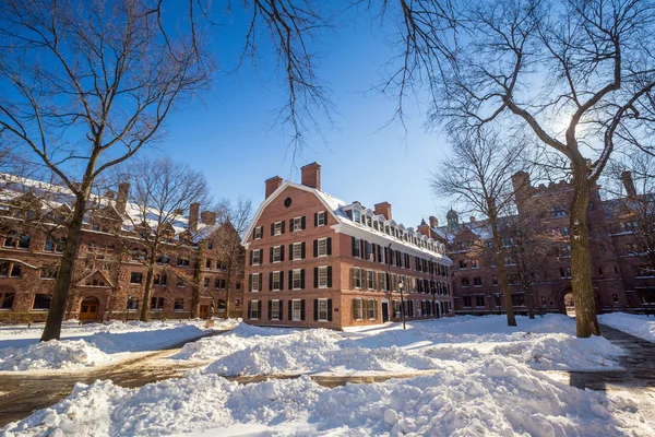 Yale university buildings in winter after snow storm Linus — Stock ...