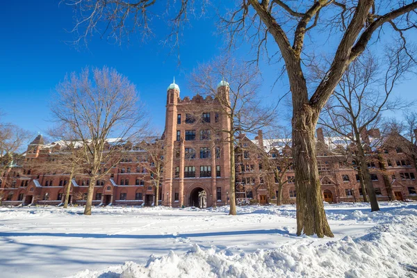 Yale university buildings in winter after snow storm Linus - Stock ...