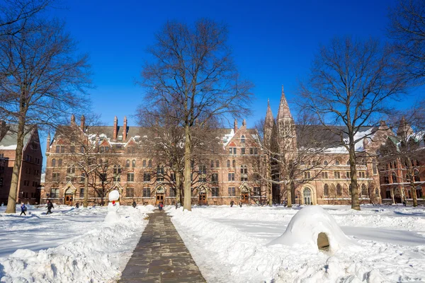 Yale university buildings in winter after snow storm Linus — Stock ...