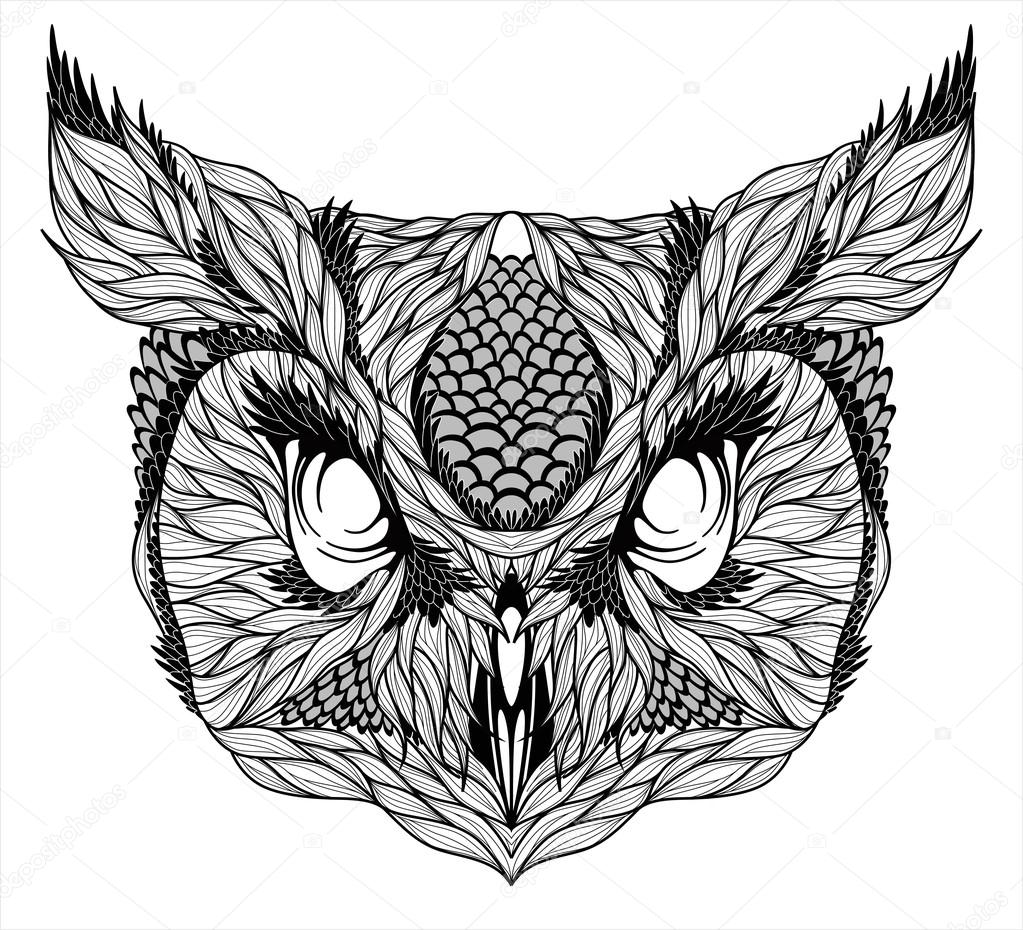 Owl Face Outline