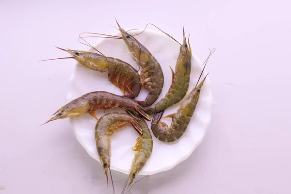 Prawn pond Stock Photos, Royalty Free Prawn pond Images | Depositphotos