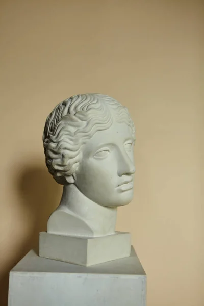 Antique plaster head Stock Photos, Royalty Free Antique plaster head ...