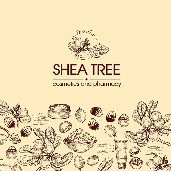 Shea butter Vector Art Stock Images | Depositphotos