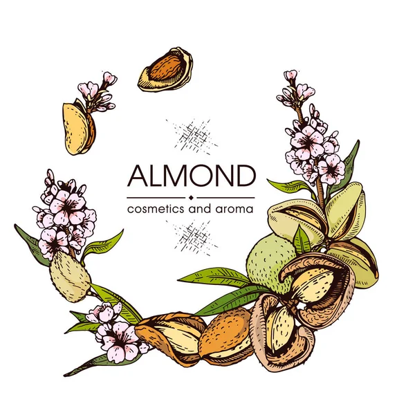 100,000 Almond tree Vector Images | Depositphotos