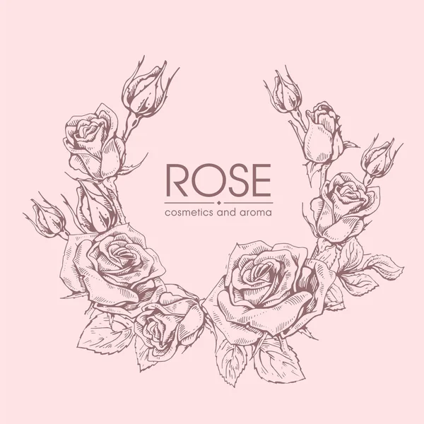 Rosaceae Vector Images, Royalty-free Rosaceae Vectors | Depositphotos®