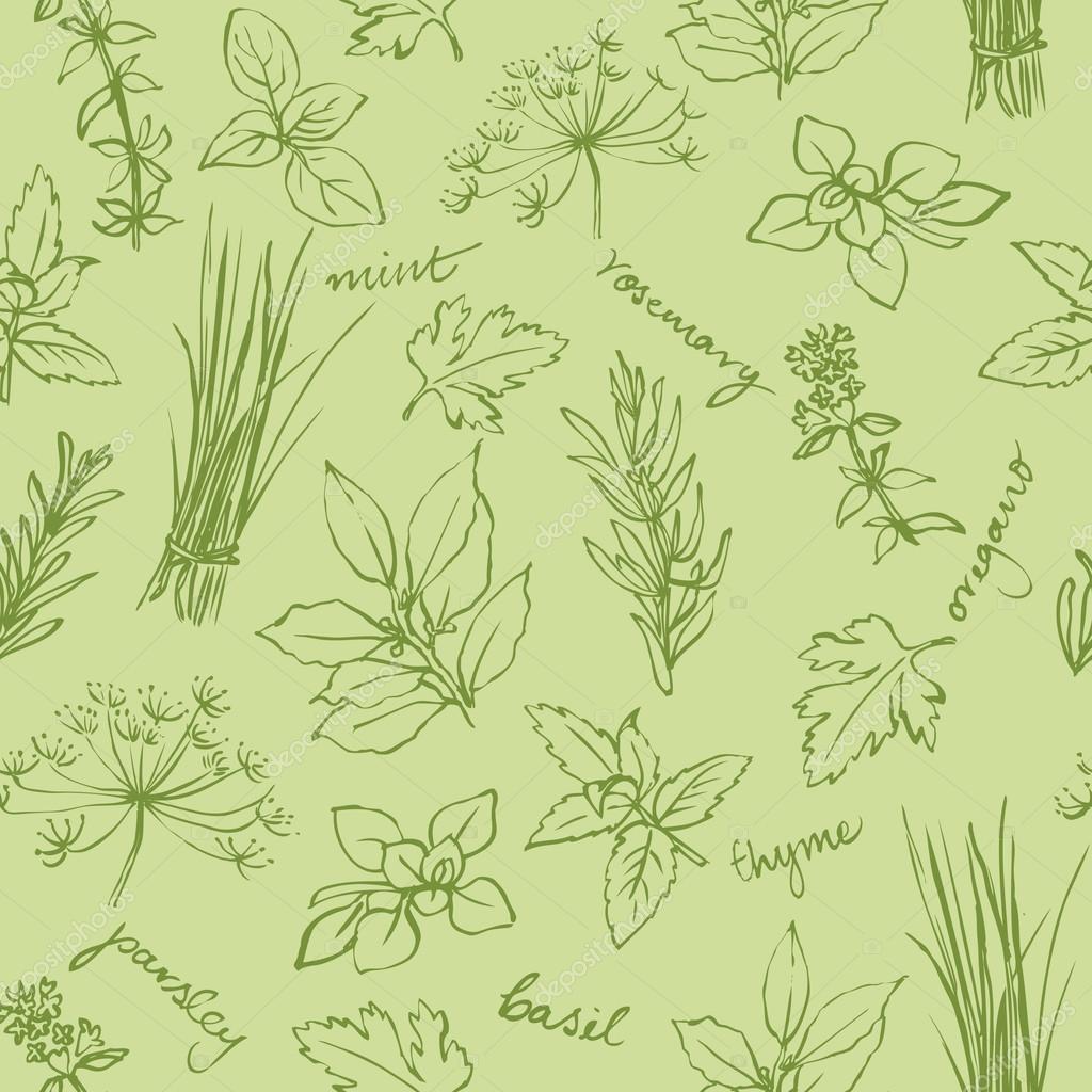 Fresh herbs pattern Stock Vector Image by ©OMW #64251989