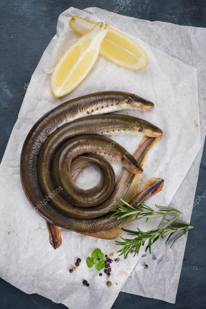 Sea Lamprey Recipe | Deporecipe.co