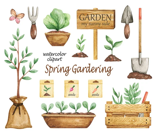 56,833 Vegetable garden Stock Illustrations | Depositphotos