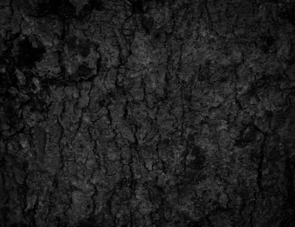 Black tree background Stock Photos, Royalty Free Black tree background ...