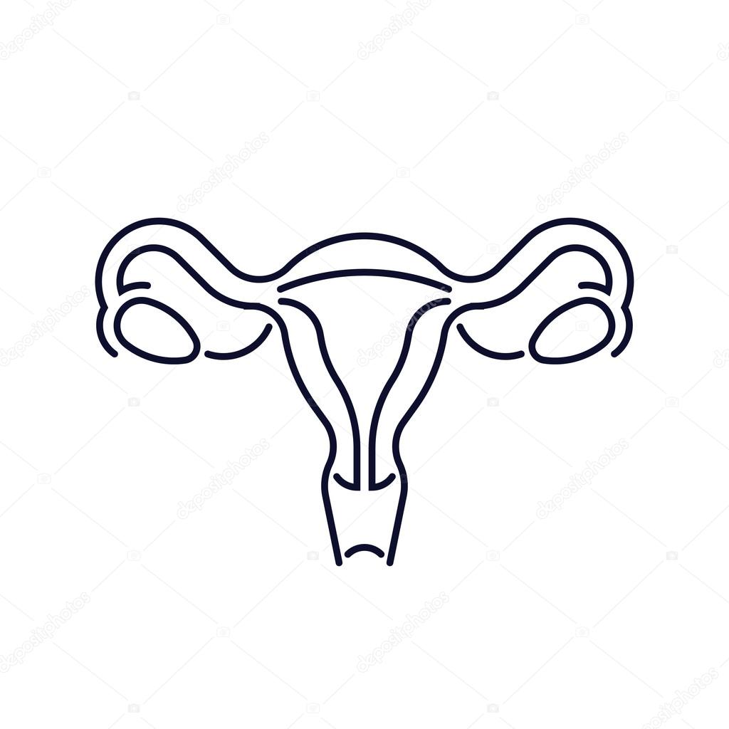 Female Reproductive System icon Stock Vector by ©masha_tace 102843044 Female Reproductive System icon Stock Vector by ©masha_tace 102843044