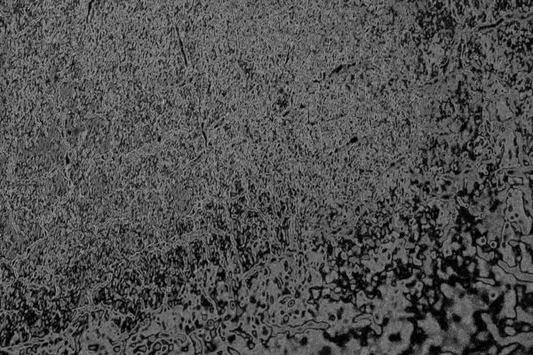 Grafenberg spot 1985 download images libres de droit, photos de ...