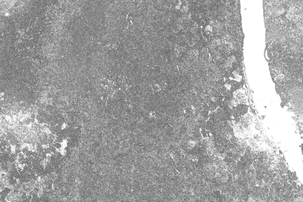 Hercules labor 10 details images libres de droit, photos de Hercules ...