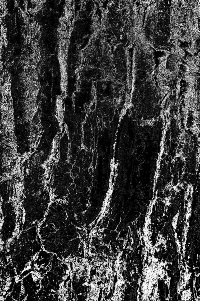 Abstract background. Monochrome texture. Image includes a effect the ...