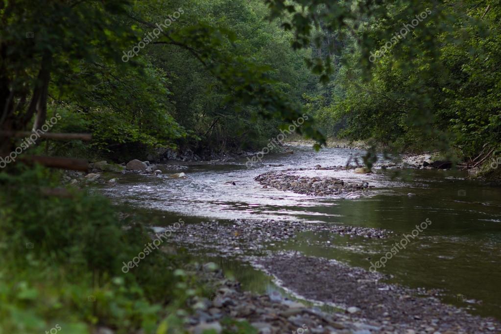 A slow moving stream — Stock Photo © bezfamilii #66497553