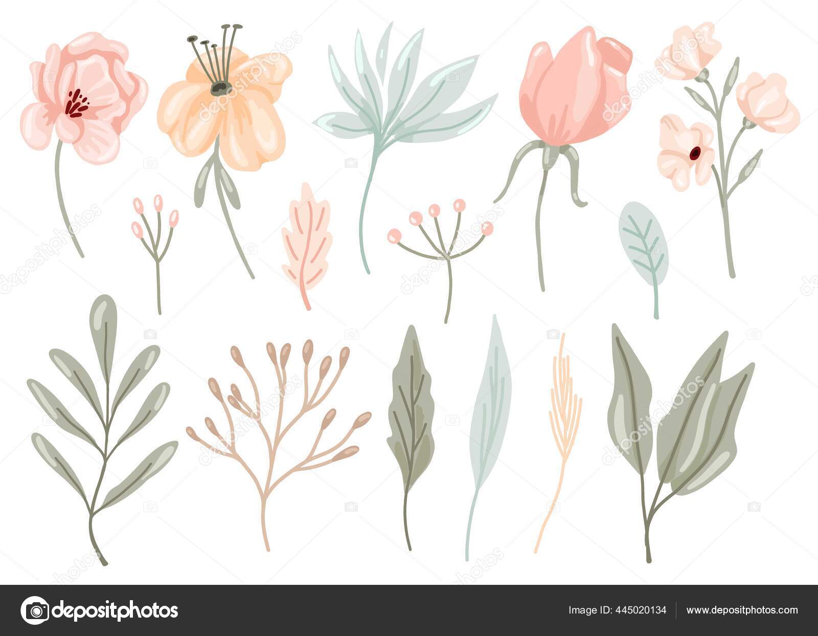 Pastel Flowers Leaves Set Hand Drawn Elegance Boho Style Botanical ...