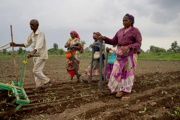Nashik Maharashtra India June 2020 Unidentified Happy Indian Rural ...