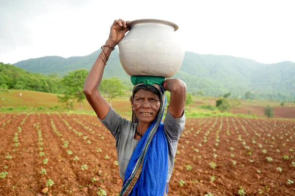 Nashik Maharashtra India June 2020 Unidentified Happy Indian Rural ...