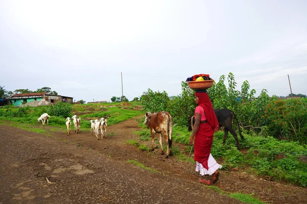 Maharashtra rural women Stock Photos, Royalty Free Maharashtra rural ...