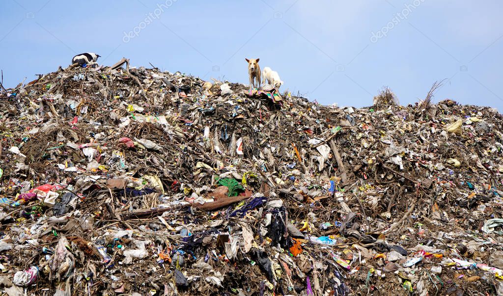 Montaña de basura, gran pila de basura, montón de hedor y residuos ...