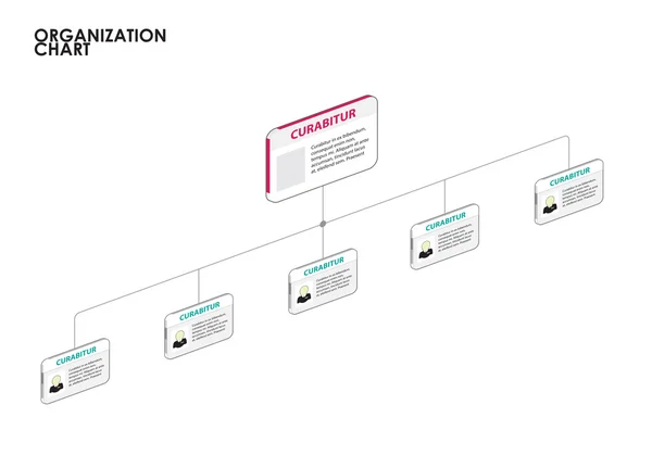 Organization chart infographics with tree. vector illustration Stock ...
