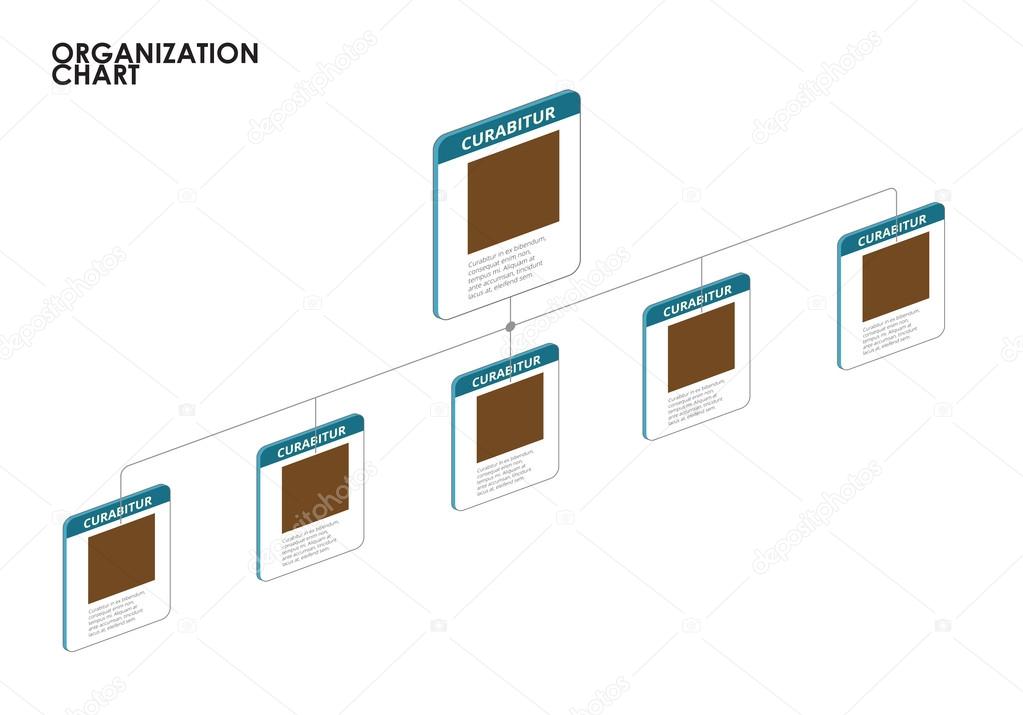 Organization chart infographics with tree. vector illustration — Stock ...
